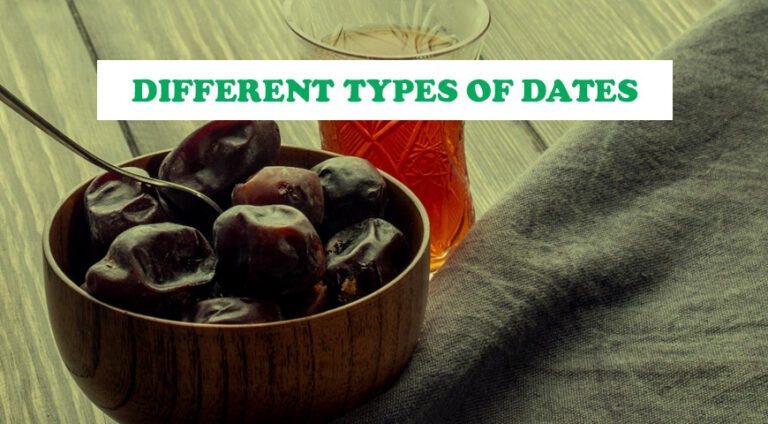 Different Types of Dates: From Mazafati to Medjool and Beyond ...